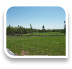 Facility Photos Sumac Farms