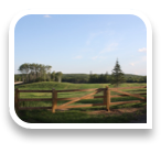 Facility Photos Sumac Farms