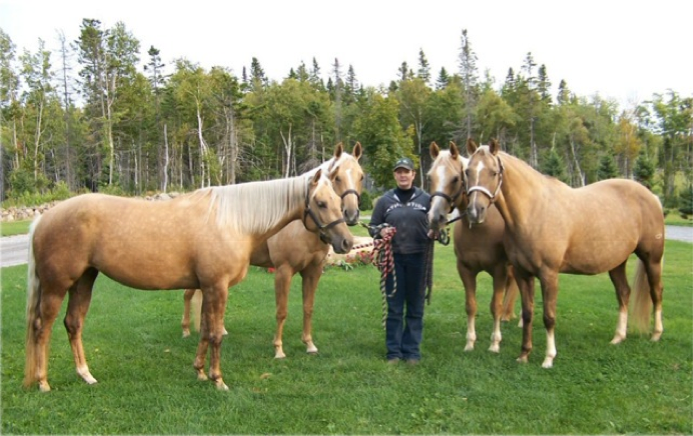 Farm Manager Sumac Farms